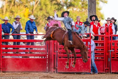 Rodeo rookies | | jhnewsandguide.com