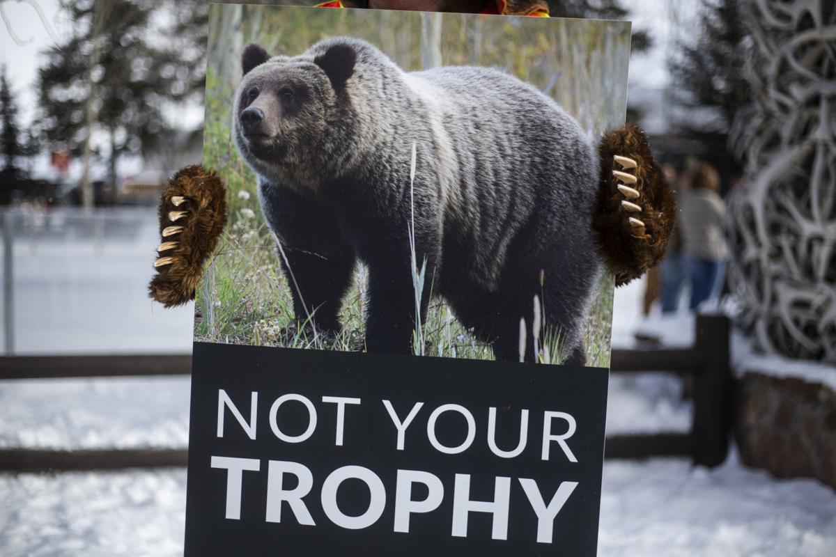 Town Square protesters decry trophy hunting | Environmental ...
