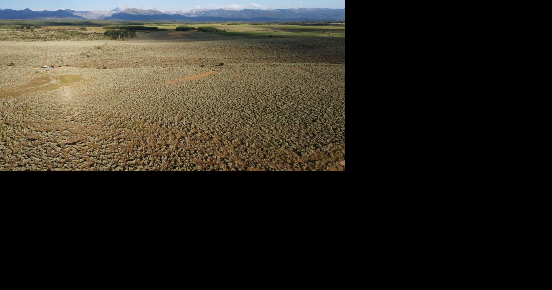 Teton County, Idaho commissioners poised to oppose selling 160 acres in ...