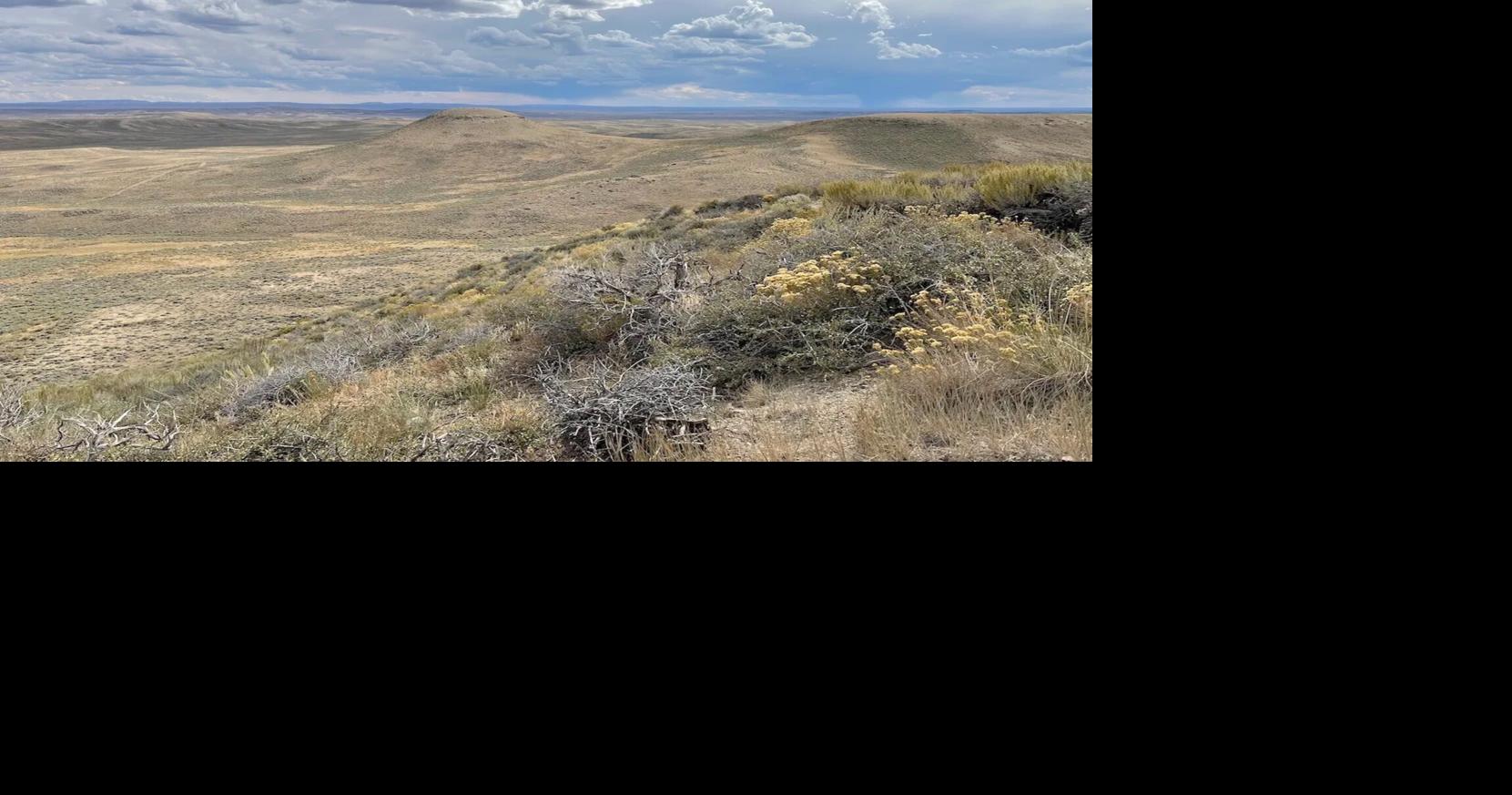 Greater sage grouse advocates blast new federal plan endorsed by ...