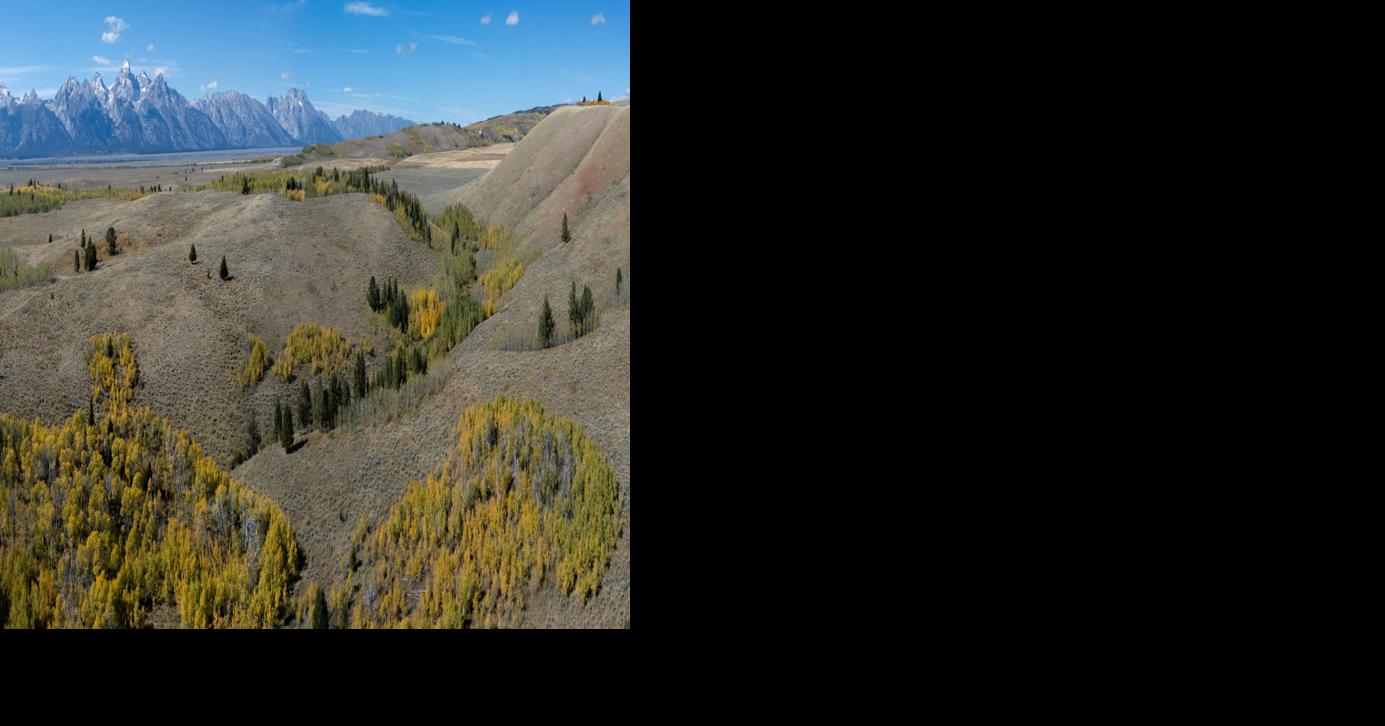 Kelly parcel sale advances on tight timeline as administrations shift ...