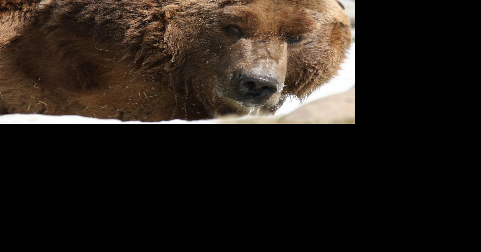 Turpin closes gallery, opens storefront | Arts | jhnewsandguide.com