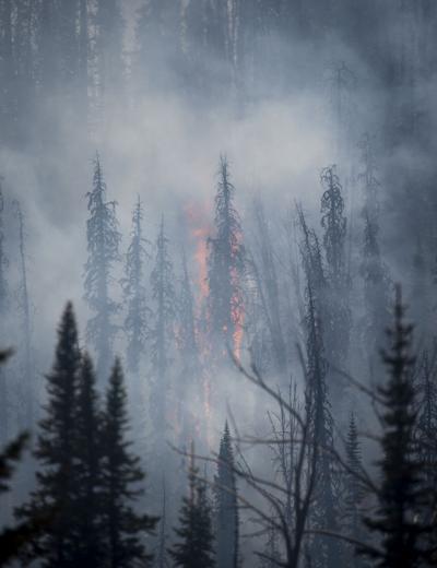 Rain, snow slow Fish Creek Fire growth | Local | jhnewsandguide.com