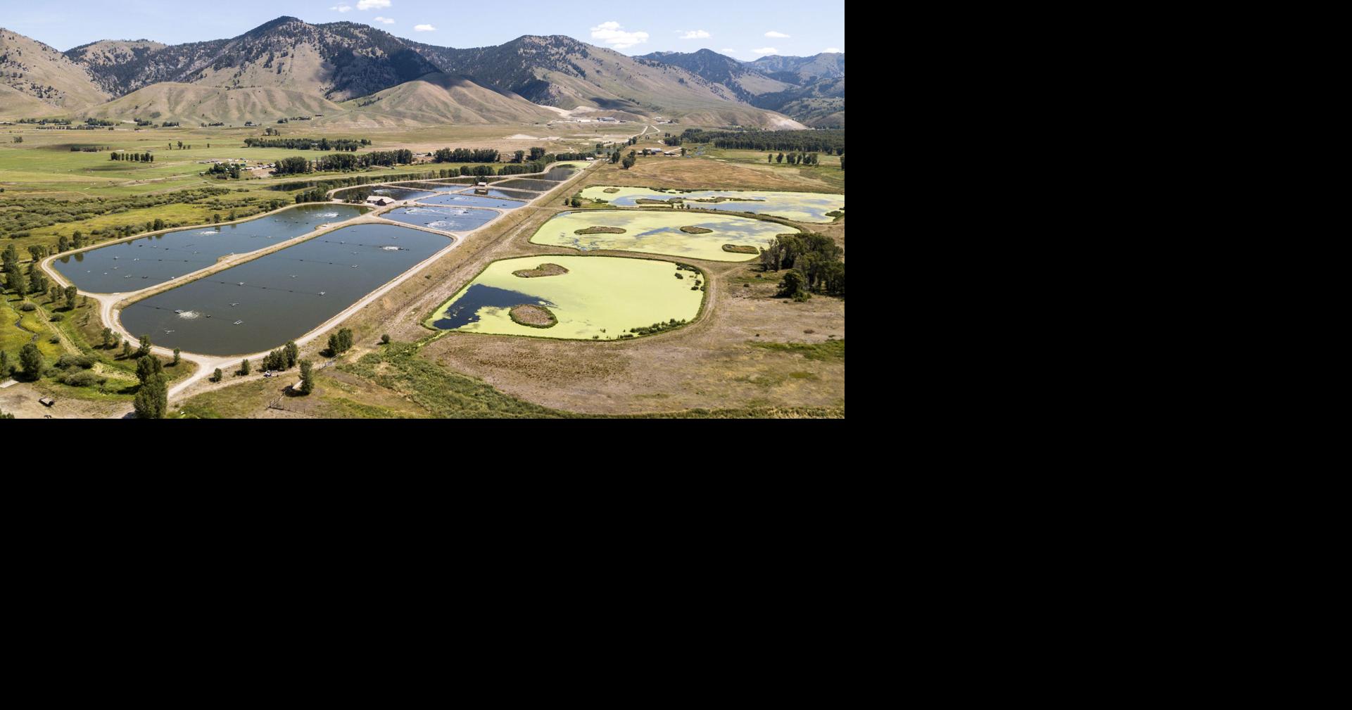 Top water quality fix is also most expensive | The Hole Scroll ...