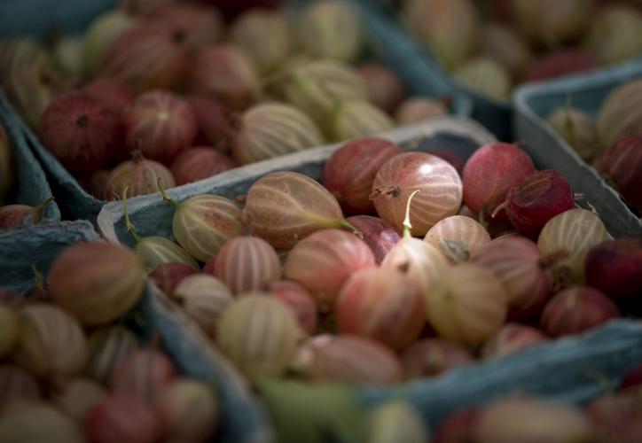 Slow Food Farm Stand debuts 'pay what you can' discount program ...