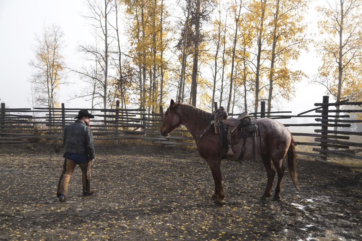 BLM Mustangs | Galleries | jhnewsandguide.com