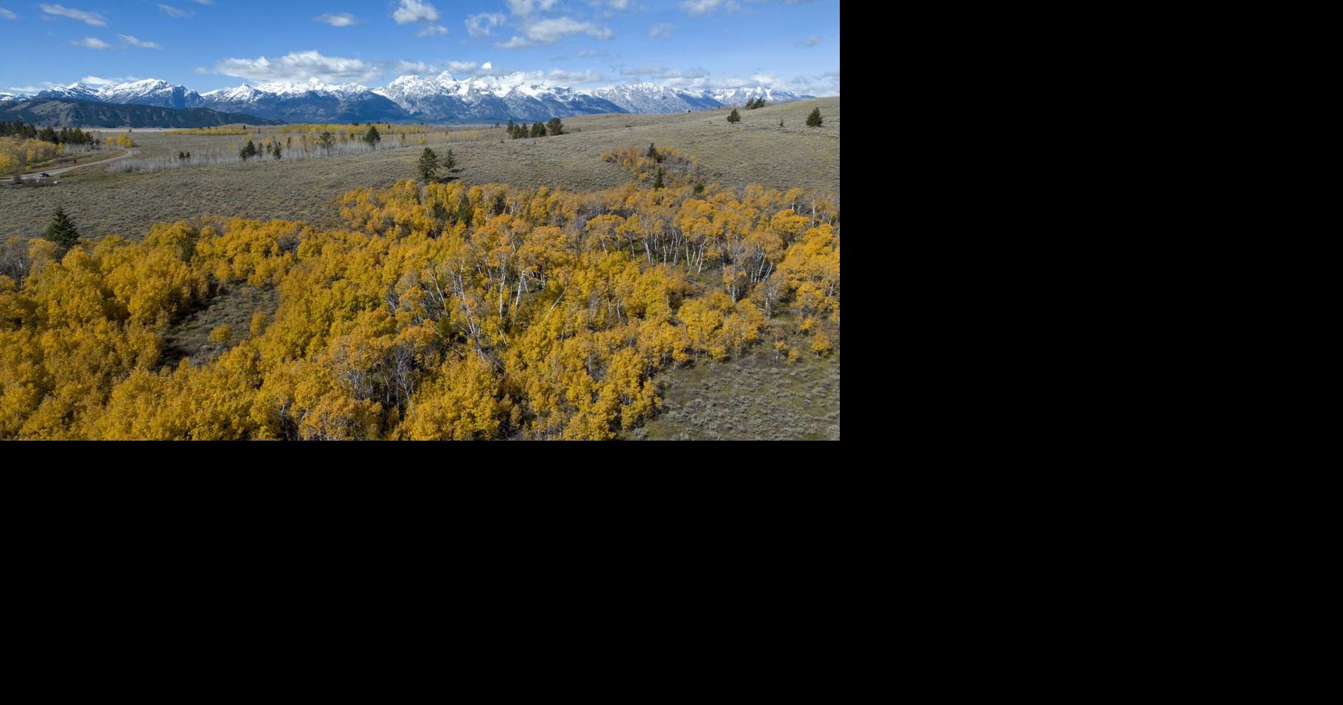 Grand Teton grilled about Kelly parcel ahead of public meeting | Local ...