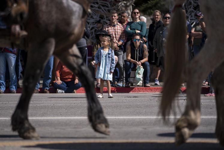 GALLERY: Best of the West Parade | Multimedia | jhnewsandguide.com