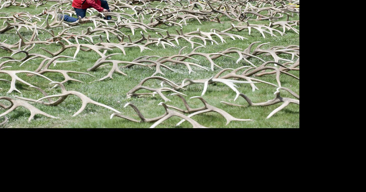 Antler action | Events | jhnewsandguide.com