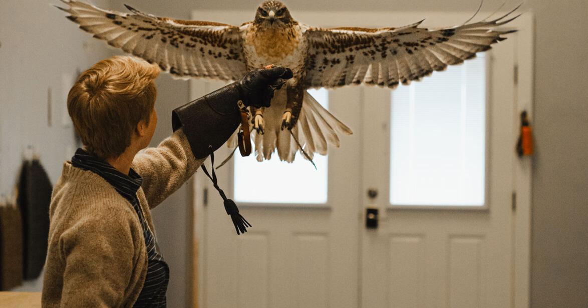 Peek at beaks | Events | jhnewsandguide.com