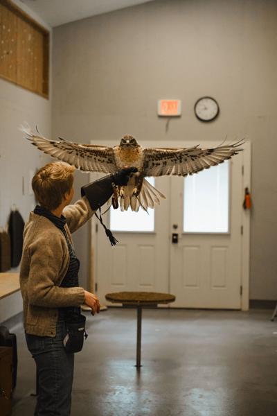 Peek at beaks | Events | jhnewsandguide.com