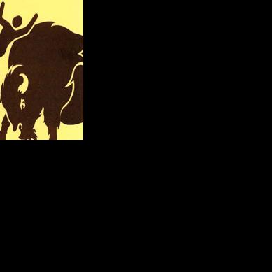 Yellowstone's first bison goring in '21 | Local | jhnewsandguide.com