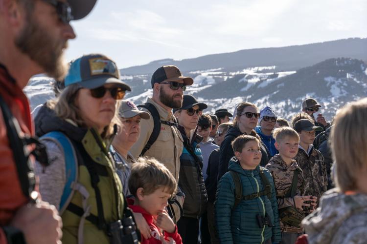 GALLERY: Boy Scouts pick up antlers on the National Elk Refuge ...
