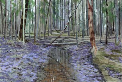 Piggott Gallery hosts Johansson's sublime reprieve | Arts ...