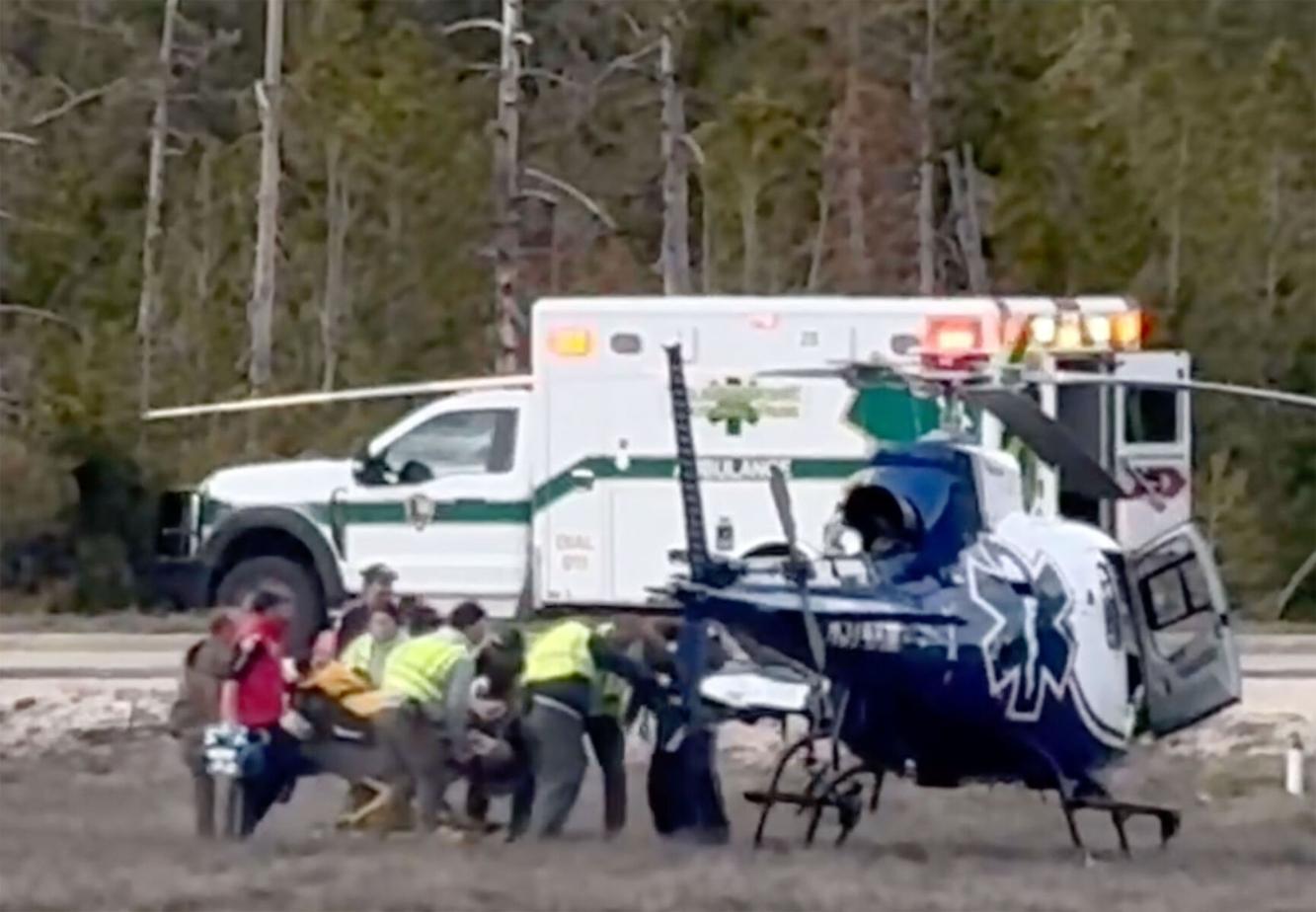 Brothers seriously injured in Yellowstone bear attack | Environmental ...
