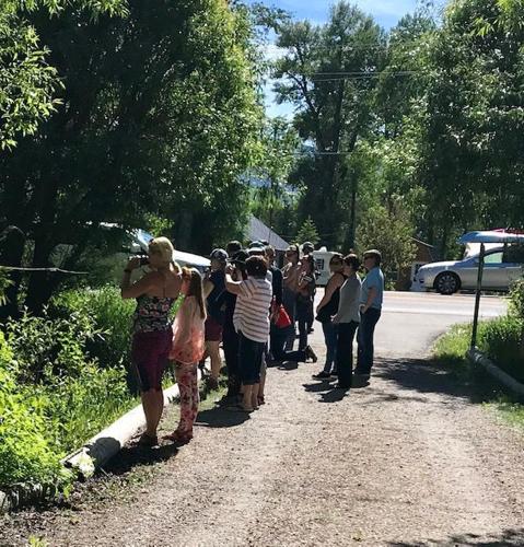 VIDEO: Big Joe the moose encounters crowds, pink flamingo | The Hole ...