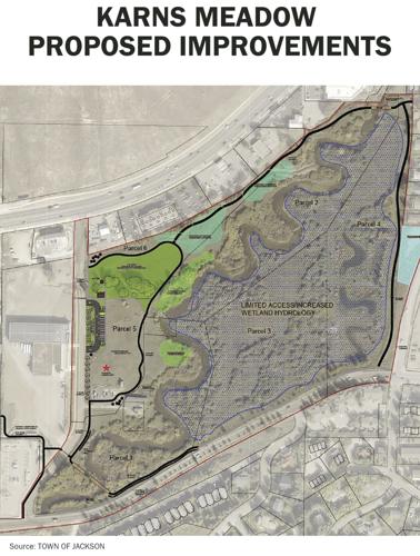 Council steers Karns Meadow toward 'nature park' | Environmental ...