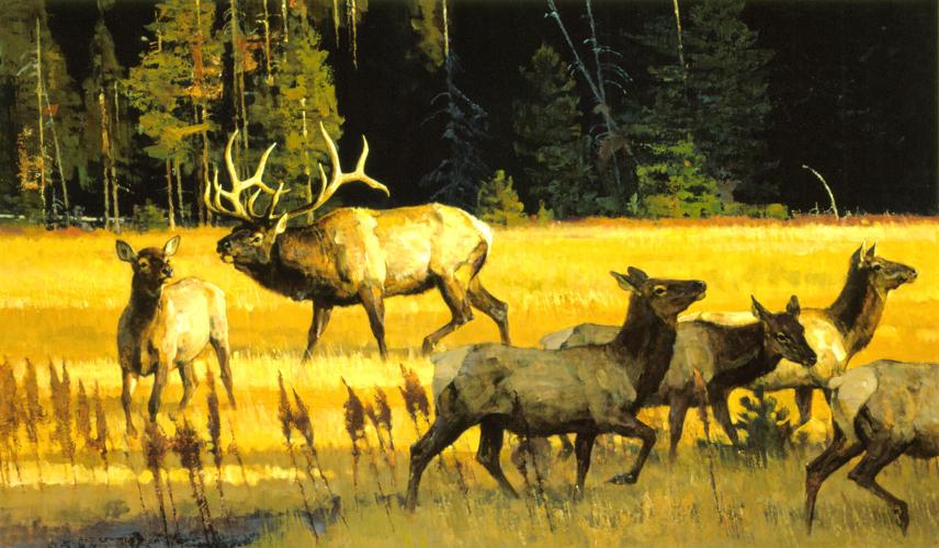 Kuhn honored by hunting club | Arts | jhnewsandguide.com