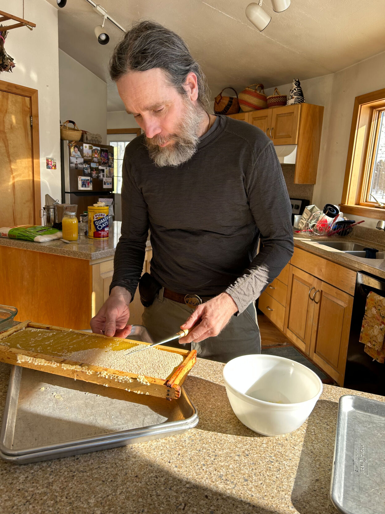 Busy bee | The Hole Scroll | jhnewsandguide.com