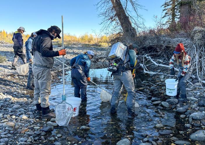 With federal land managers furloughed, volunteers step in to rescue ...