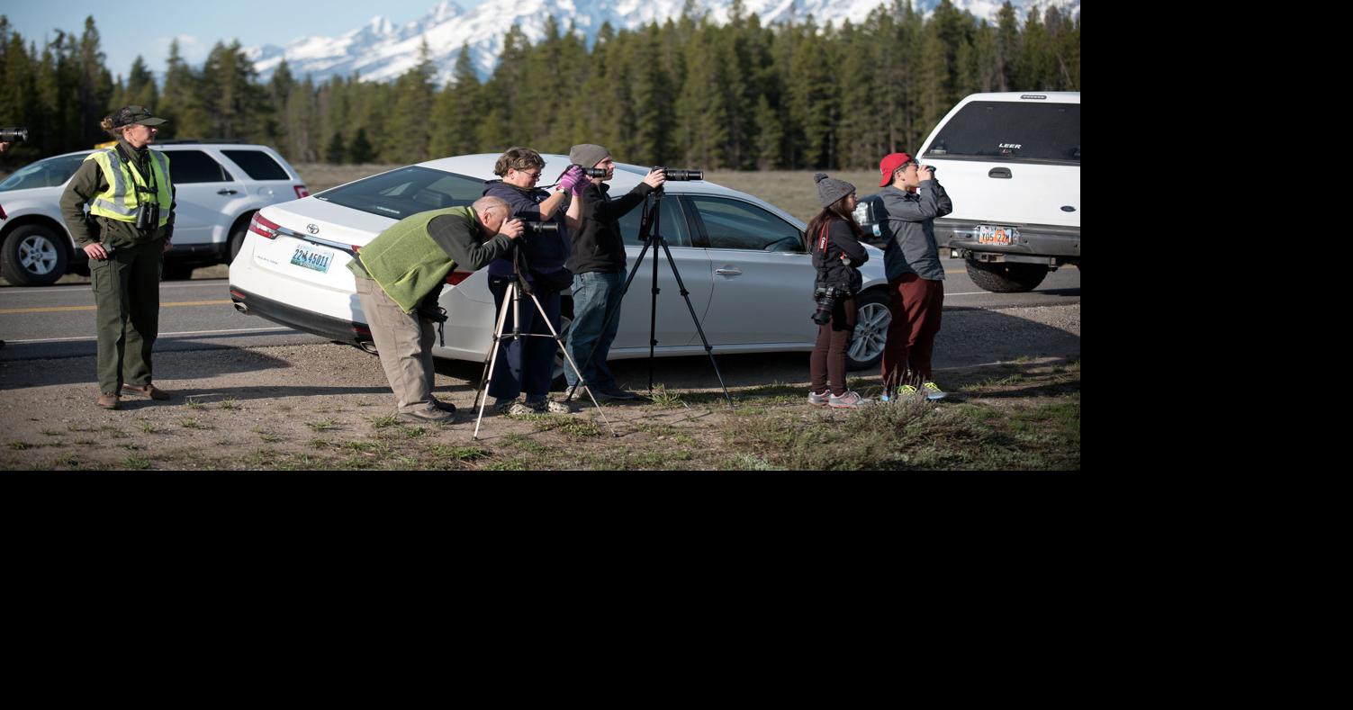 As Trump targets federal workers, tourism-dependent Jackson Hole fears ...