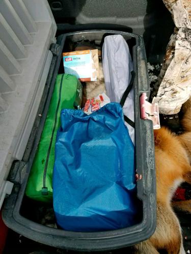 Hunters help nab wolf poacher | Environmental | jhnewsandguide.com