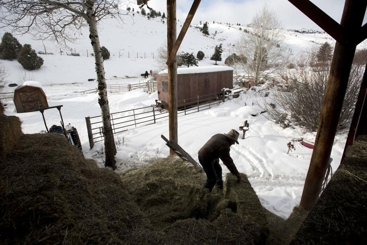 Memories of a mountain man | Features | jhnewsandguide.com