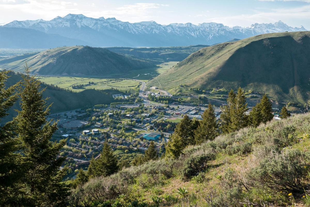 Josies Ridge is great for an easy day hike | Excursion | jhnewsandguide.com