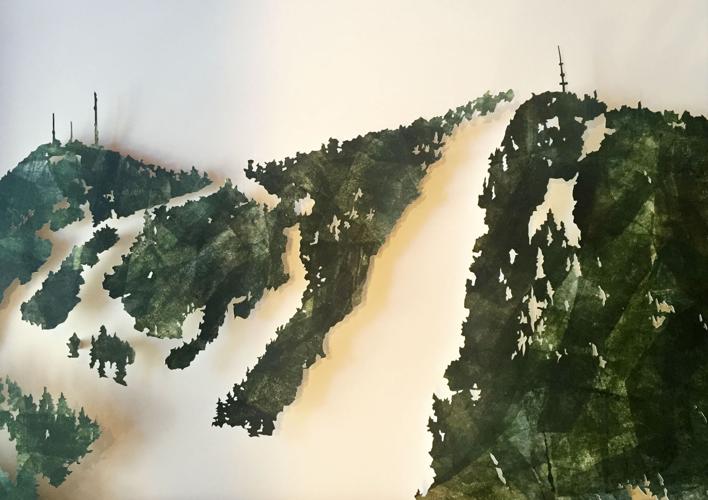 Gleason cuts and prints scenes of nature | Arts | jhnewsandguide.com