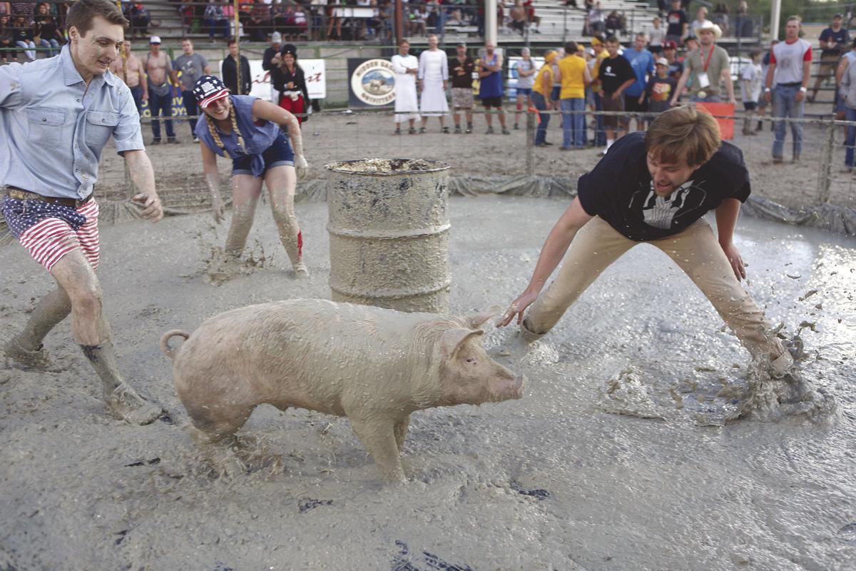 It’s all fine with swine | Teton County Fair | jhnewsandguide.com