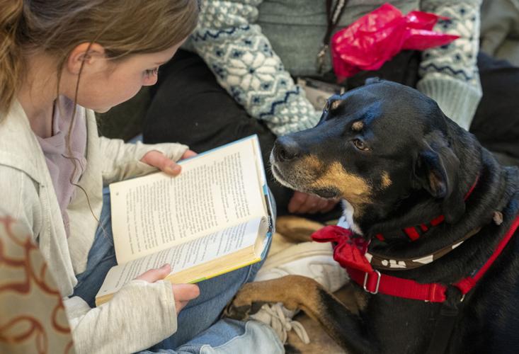 Dogs dig storytime | Features | jhnewsandguide.com