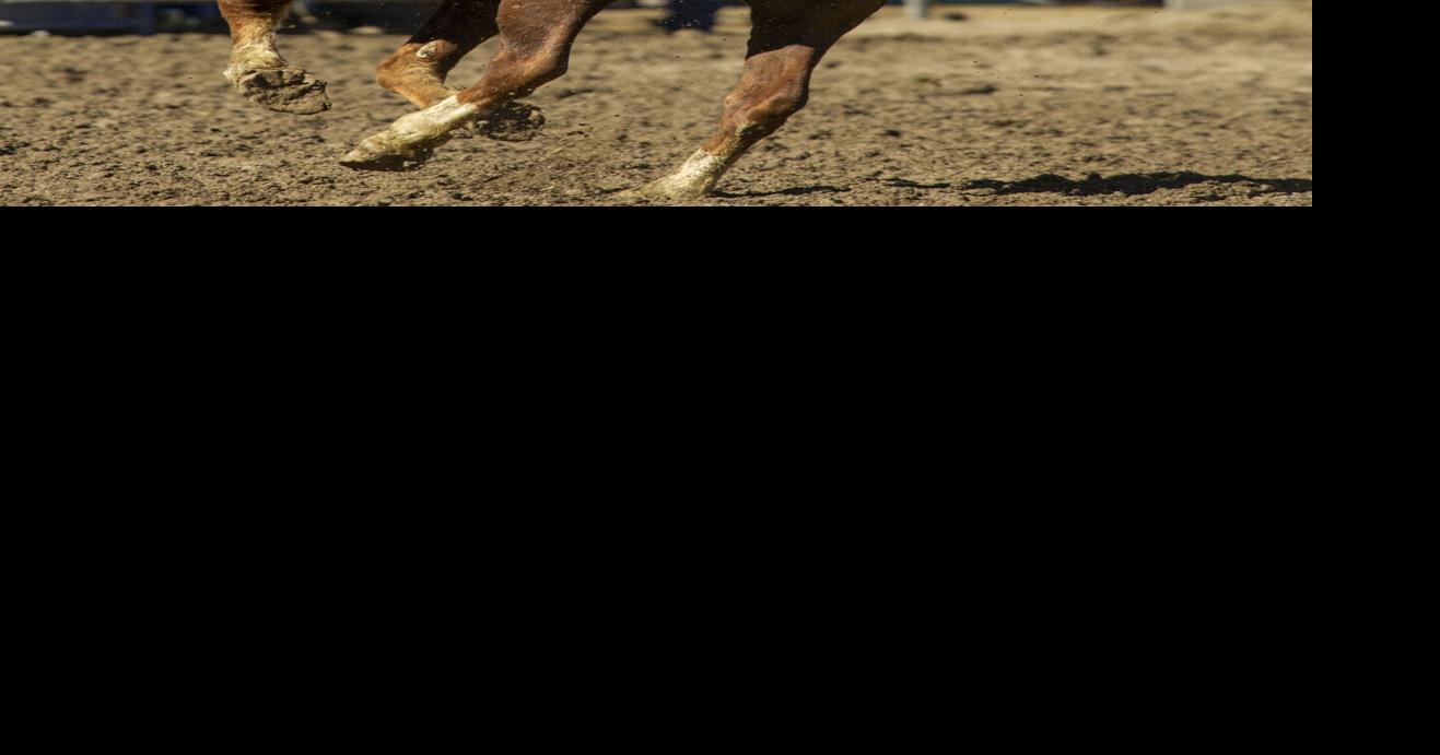 Fast, rough and wild rides | JH Rodeo | jhnewsandguide.com