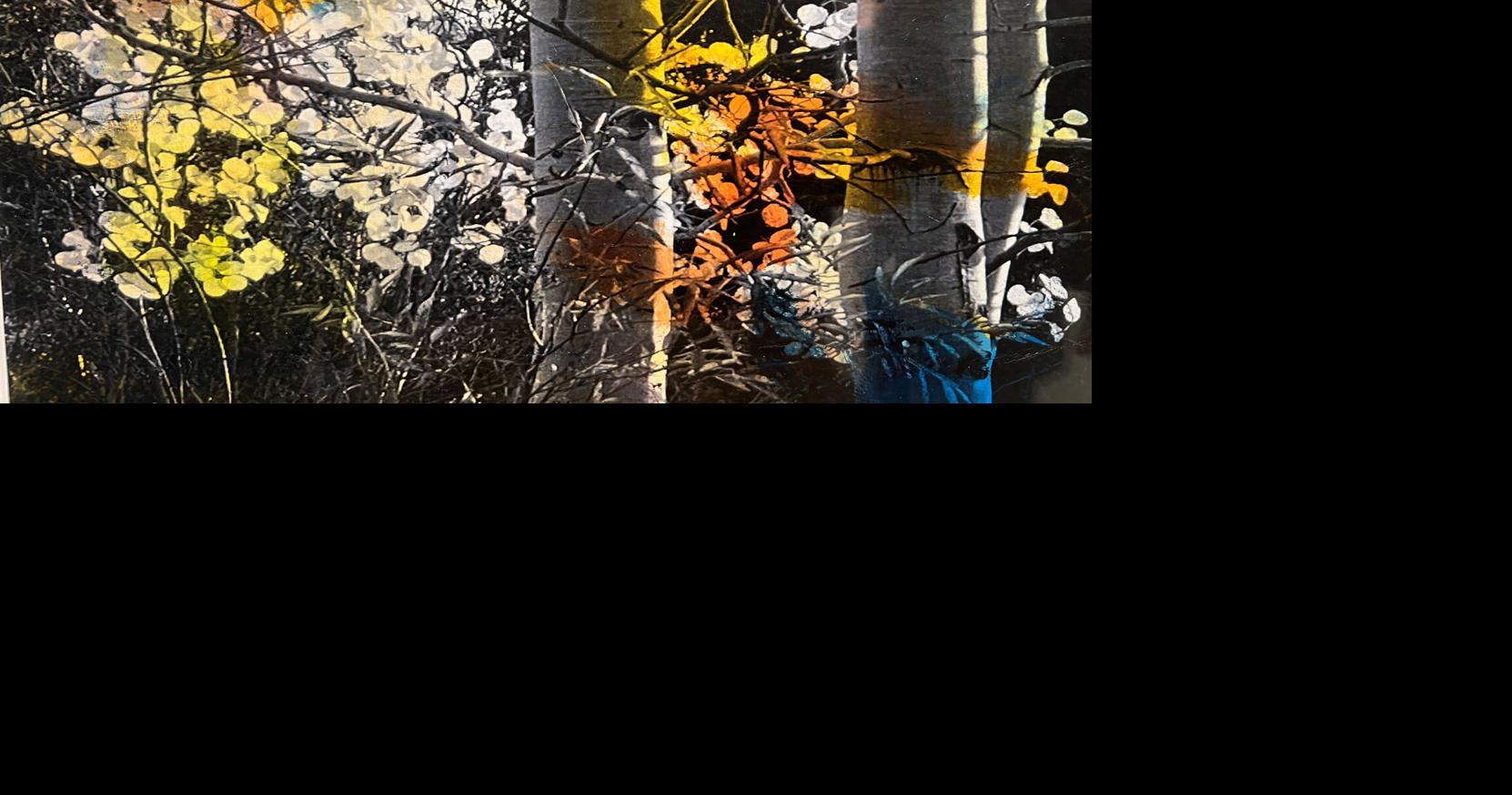 Photographers reveal, evade at Brownfield | Arts | jhnewsandguide.com