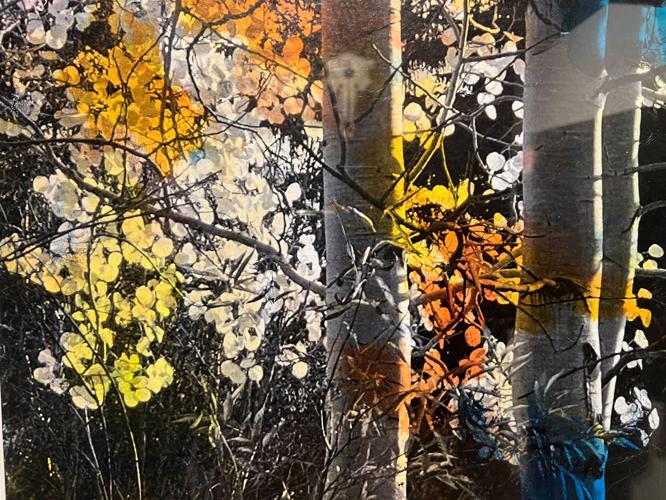Photographers reveal, evade at Brownfield | Arts | jhnewsandguide.com