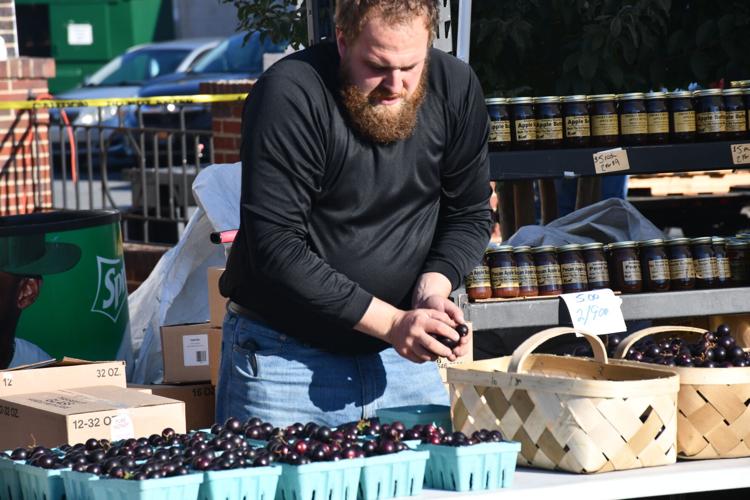 Unicoi County Apple Festival sees successful first day | Things to Do ...