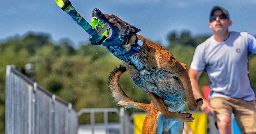 Photo gallery: Ultimate Air Dogs | The Appalachian Adventurer ...