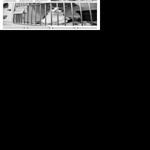 Page C2 | e-Paper | johnsoncitypress.com