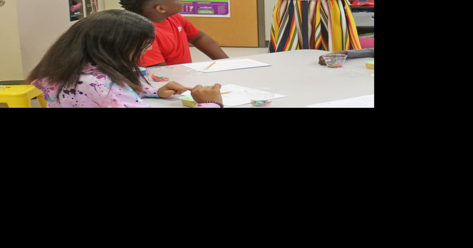 UHSMA teacher finding ways to make science fun | News | jonesborosun.com