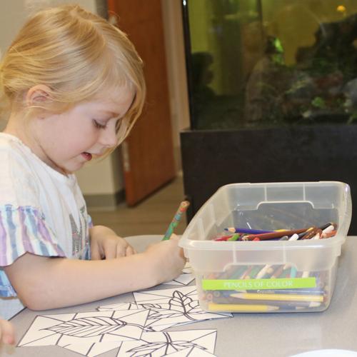 Fall Fest at the library | News | jonesborosun.com