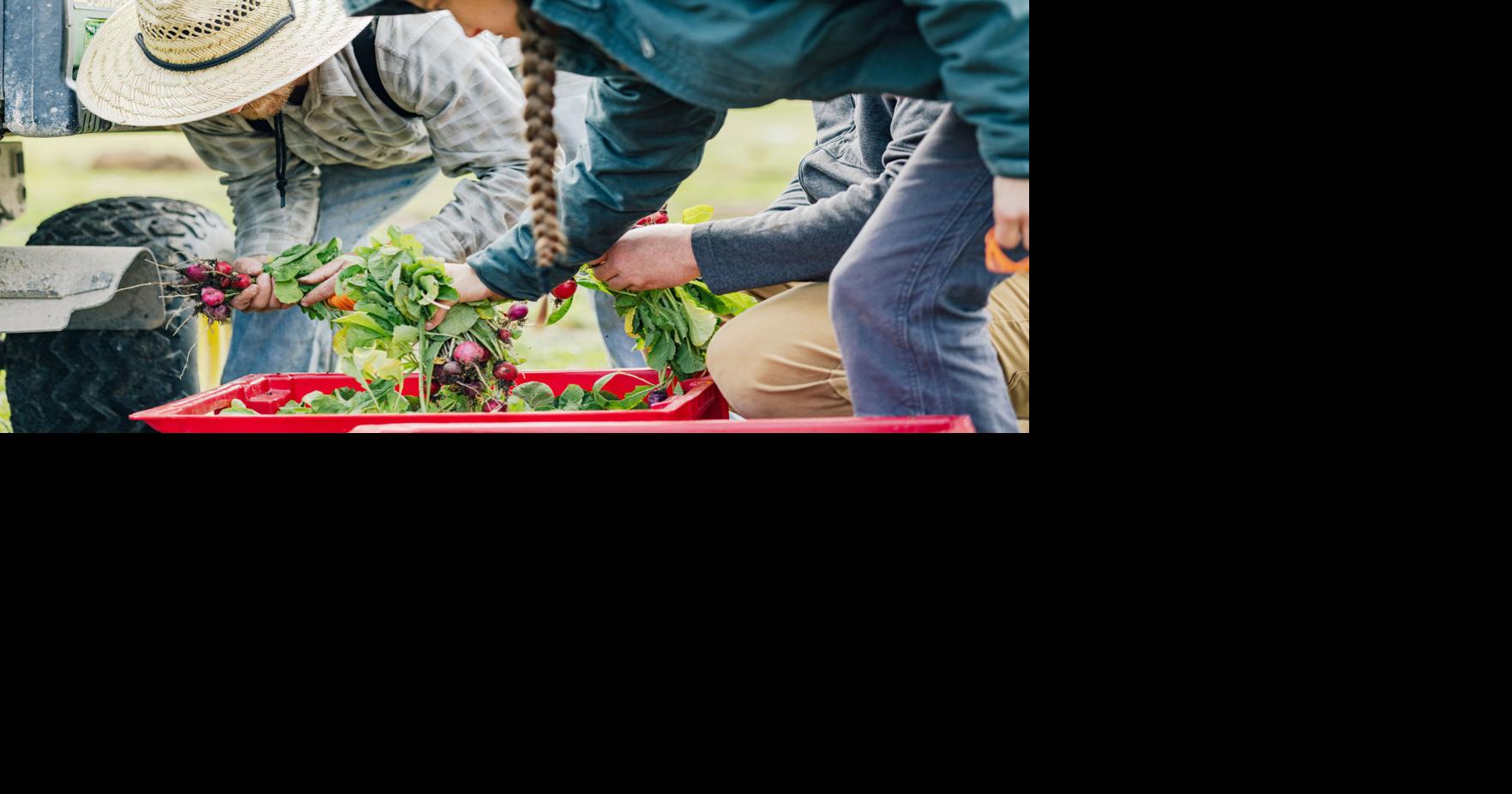 2022 Beginning Farmer Classes start with new focus | Newport ...