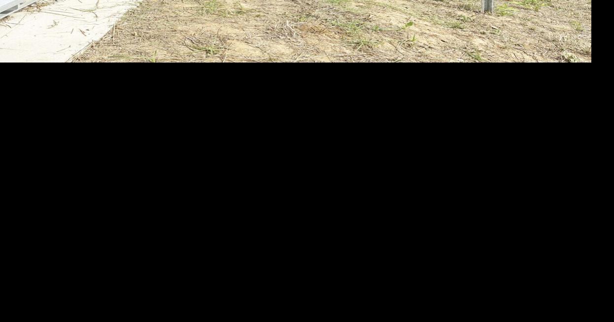 Bridge renamed in honor of MLK, Jr. | Newport | jonesborosun.com