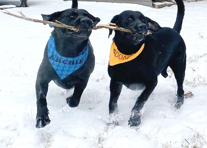 Community snapshots (copy) | News | jonesborosun.com