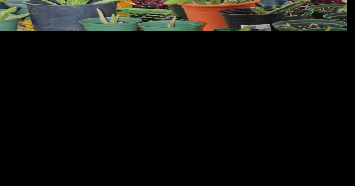 JHDC plans first Earth Day Plant Sale | News | jonesborosun.com