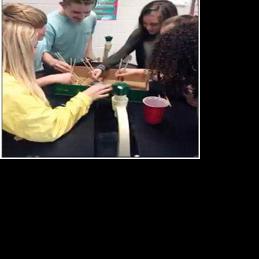 Birds, Beaks and Beans: A Lab of Evolution | Community | jonesborosun.com