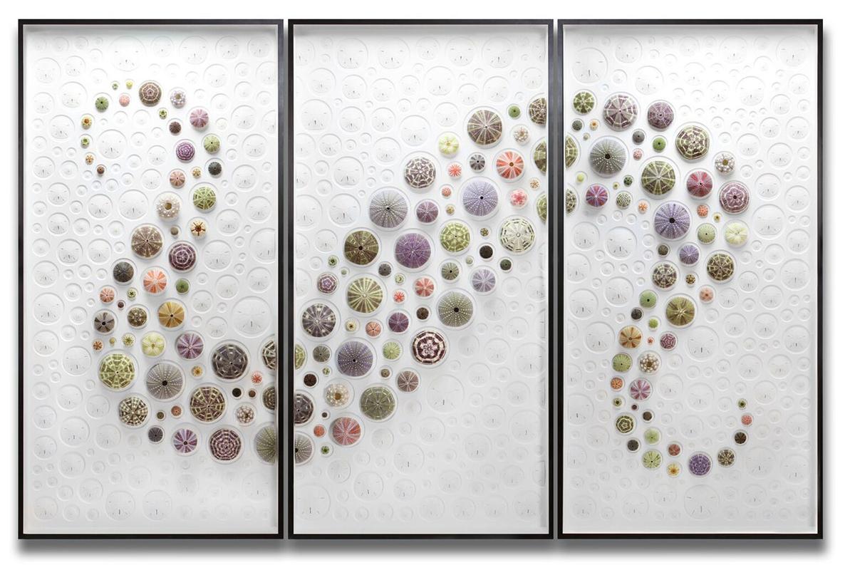 Exquisite Creatures exhibition to open at Crystal Bridges ...