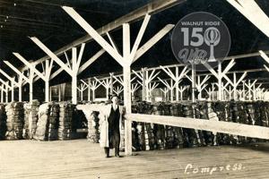 Times Dispatch | jonesborosun.com