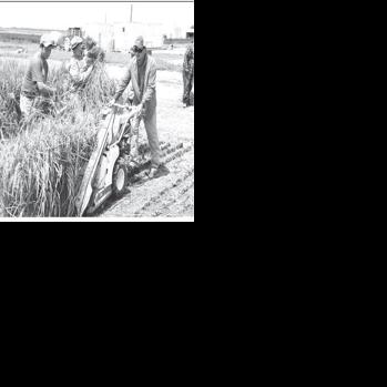 Kellogg’s plans to contract Titan rice for some of its grain source ...