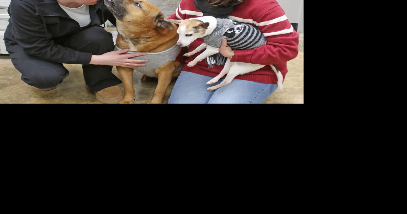 JYPN helps Humane Society | News | jonesborosun.com