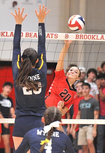 Area volleyball roundup | Sports | jonesborosun.com
