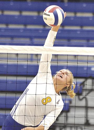 All-state volleyball includes 22 area players | Sports | jonesborosun.com